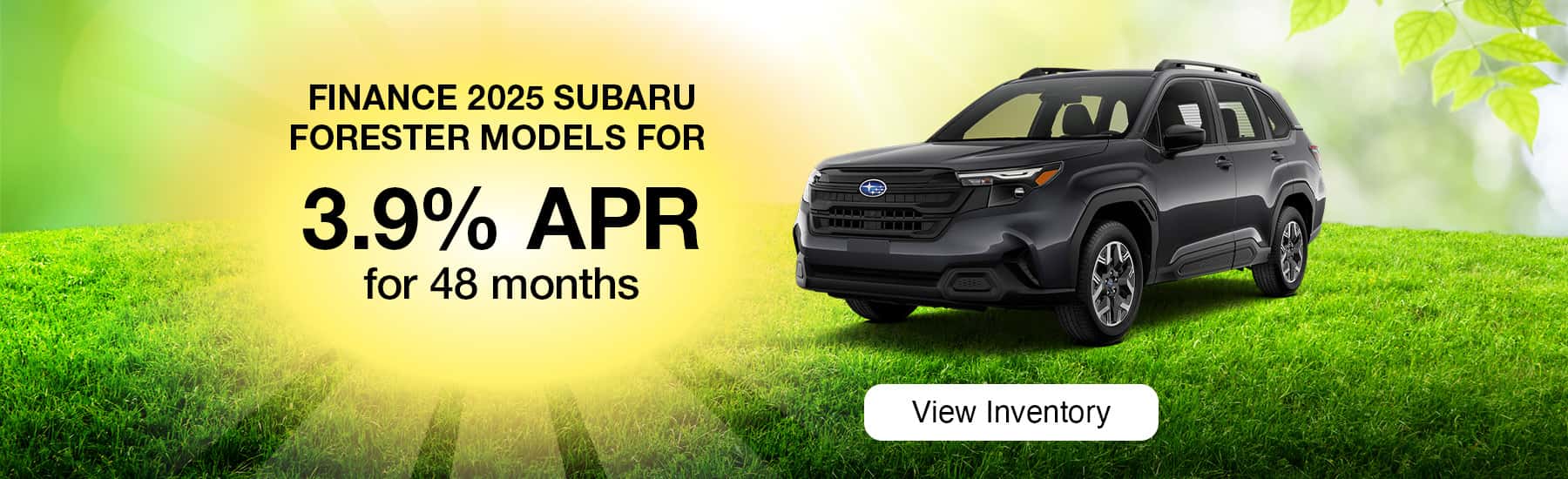 New Subaru Dealer | Casey Subaru Newport News