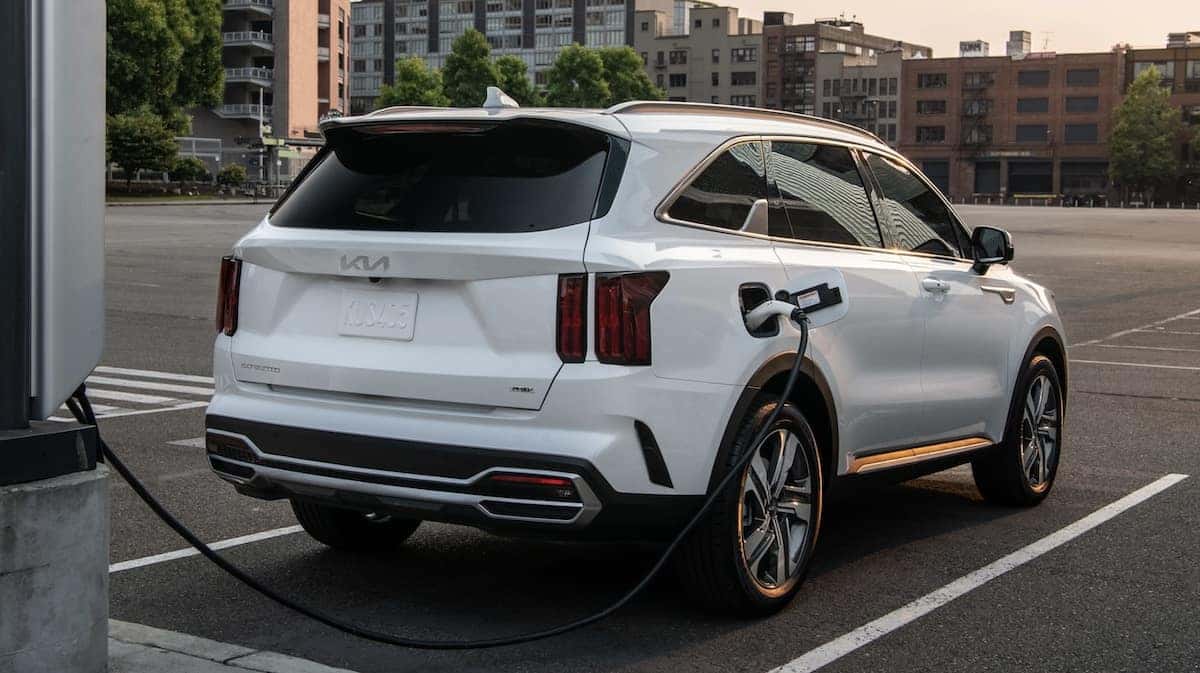 Kia sorento plug store