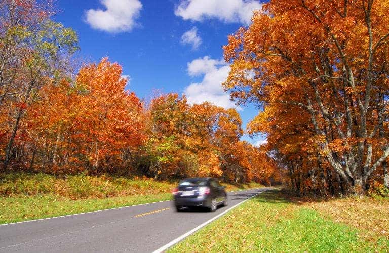 TIPS FOR DRIVING SAFELY DURING FALL | Todd Wenzel Buick GMC of Davison